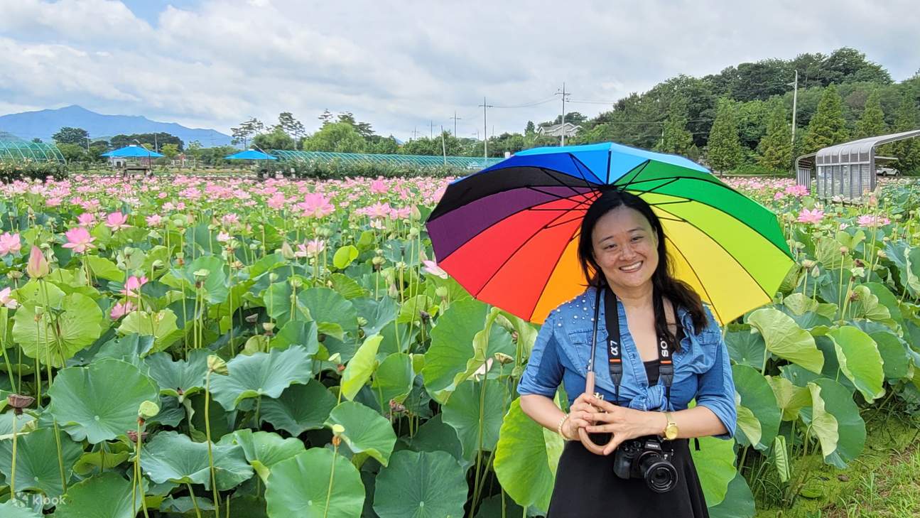 Lotus Park and Sunflower Field Tour - Klook