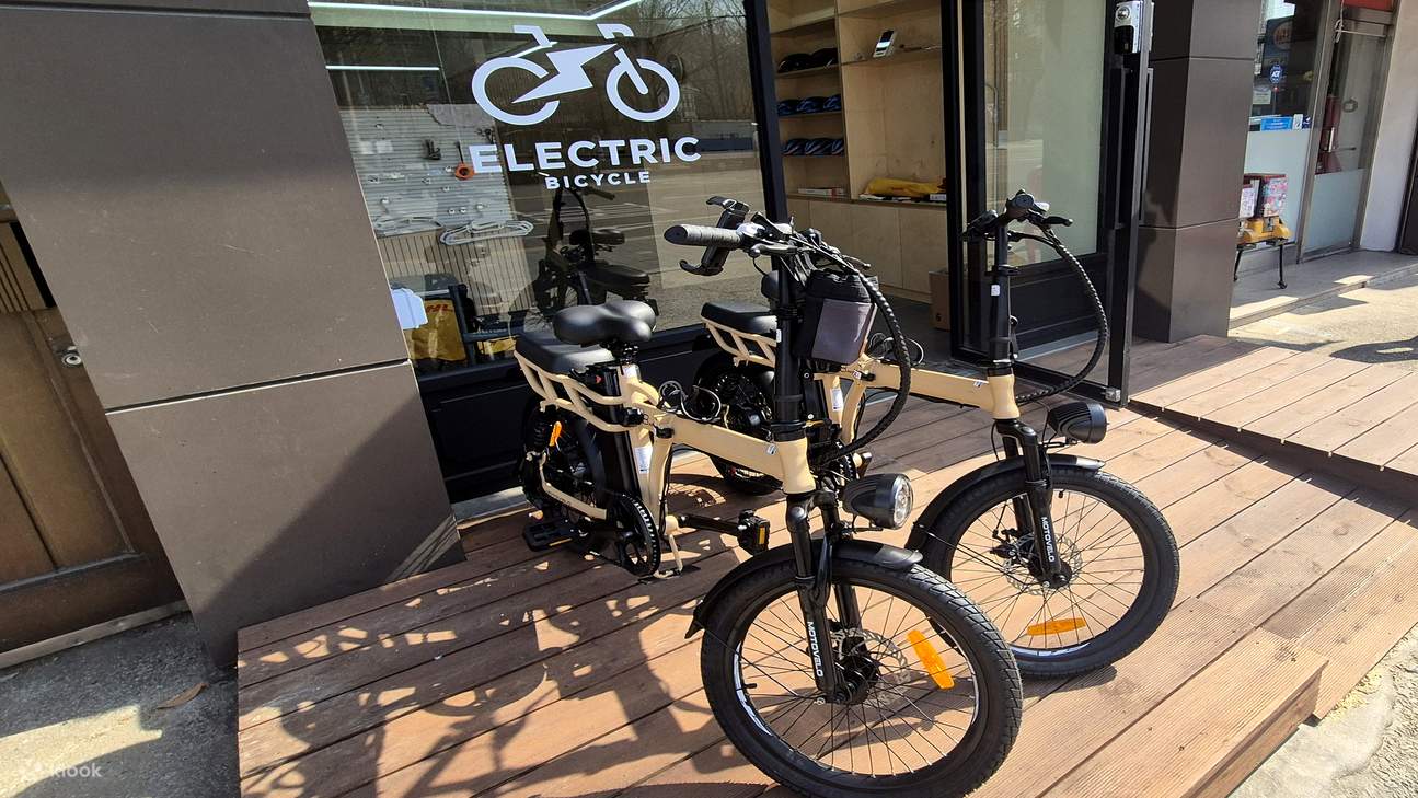 ソウルの漢江自転車道を走るENKO電動自転車 | Klook