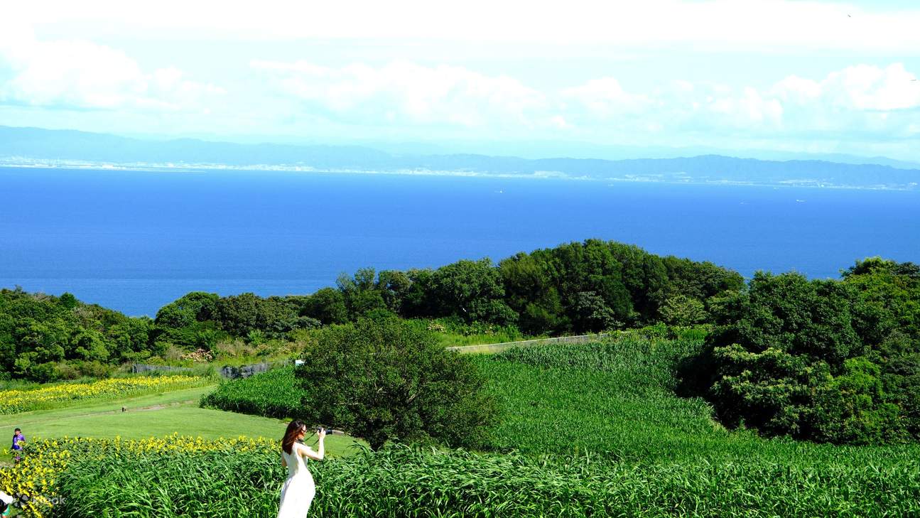 Kansai Minor Secret Realm One-Day Tour: Awaji Island / Mount Koya ...