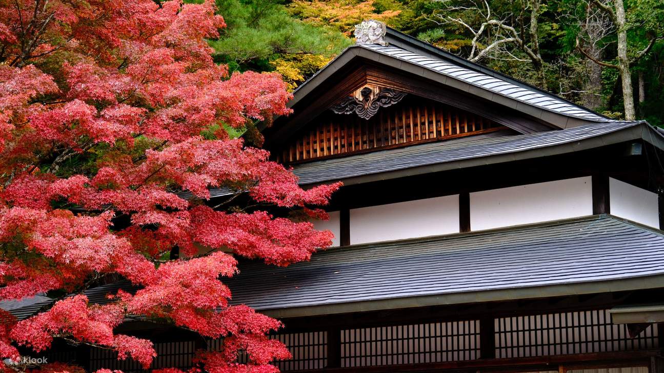Kansai Minor Secret Realm One-Day Tour: Awaji Island / Mount Koya ...
