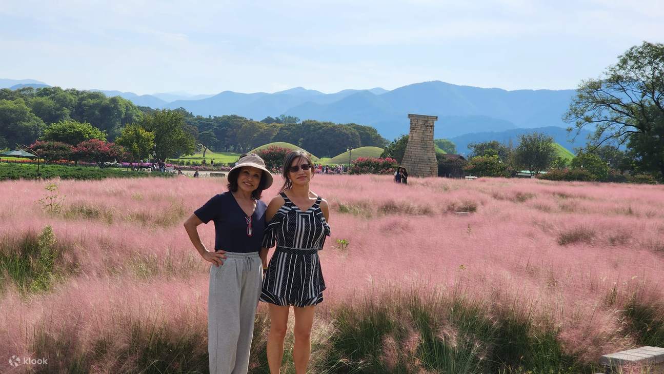 Gyeongju Private Guided Tour by Van Up to 7 Guests - Klook