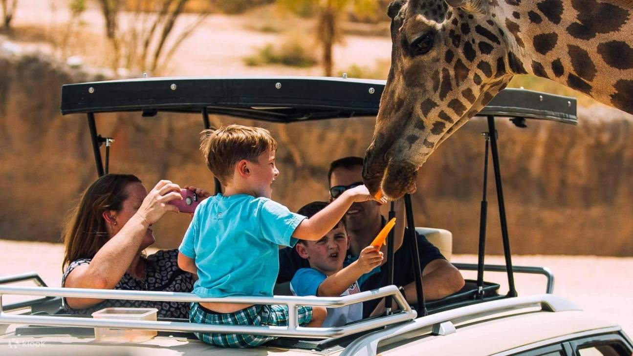 Al Ain Zoo ticket - Klook Singapore