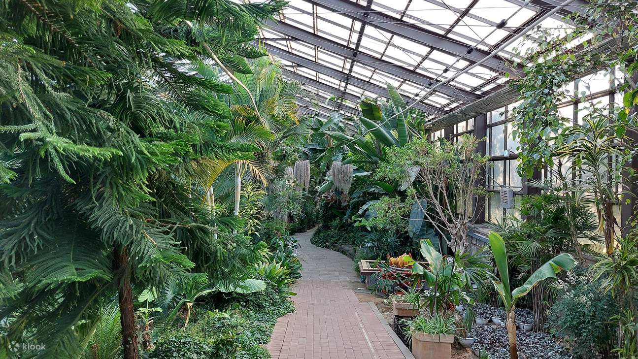 Paju First Garden Starlight Garden One-Day Tour in Paju, Gyeonggi-do ...