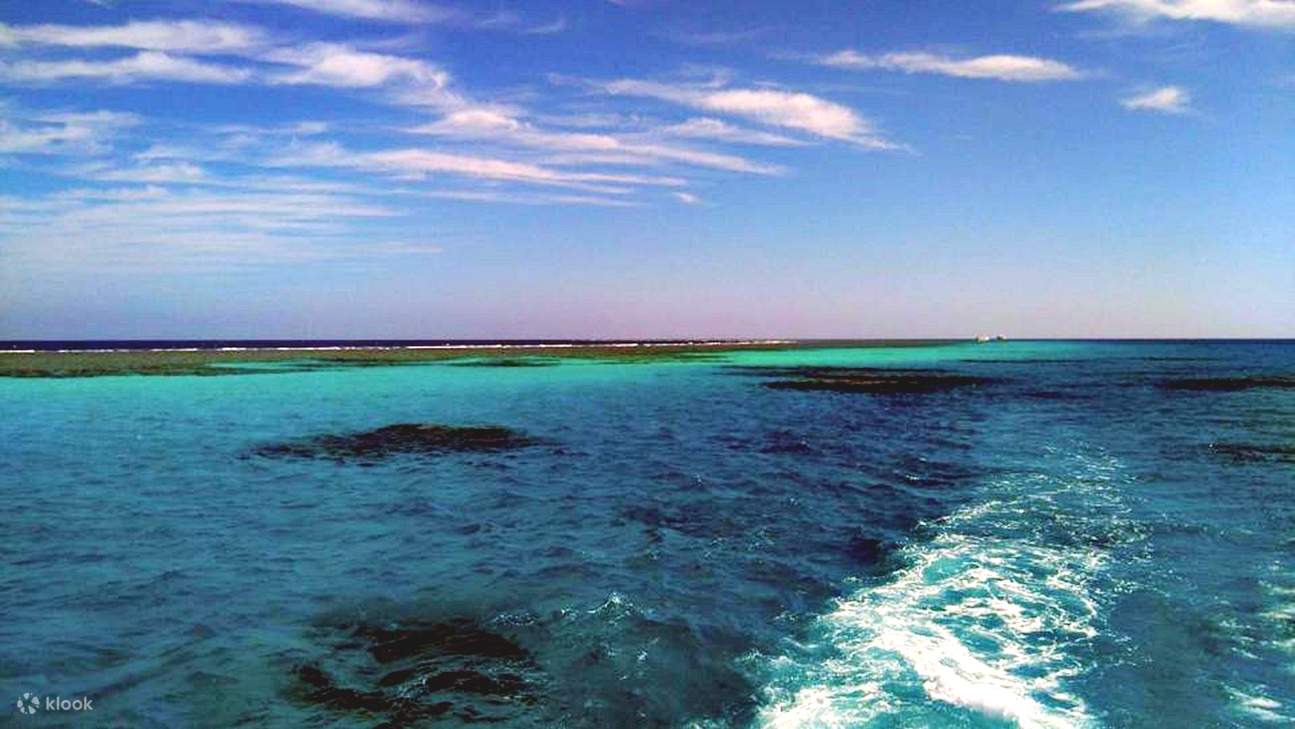 Explore Marsa Mubarak: Snorkel with Sea Cows and Turtles in Marsa Alam ...
