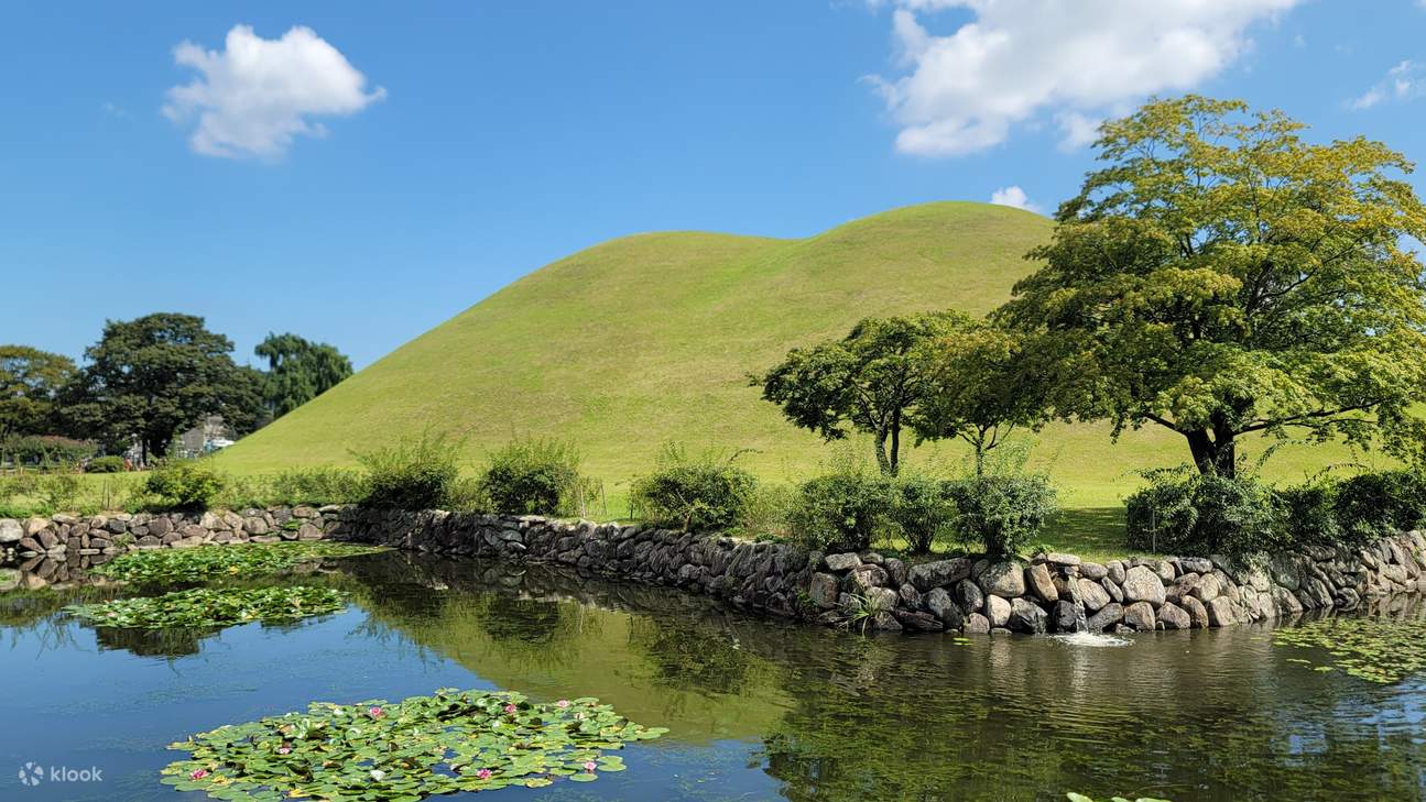 Gyeongju Cherry Farm Tour From Busan - Klook États-Unis
