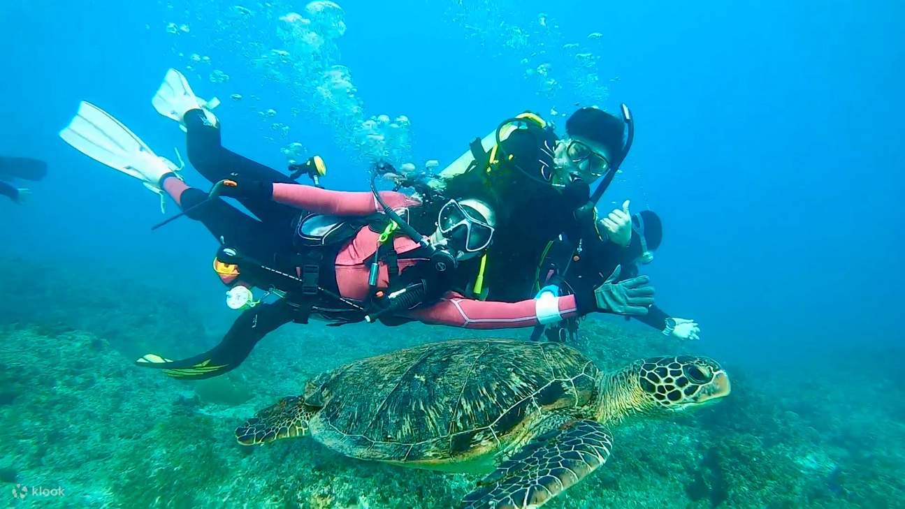 Xiaoliuqiu｜Scuba diving experience｜Qinglv Bubble Diving Resort Center ...