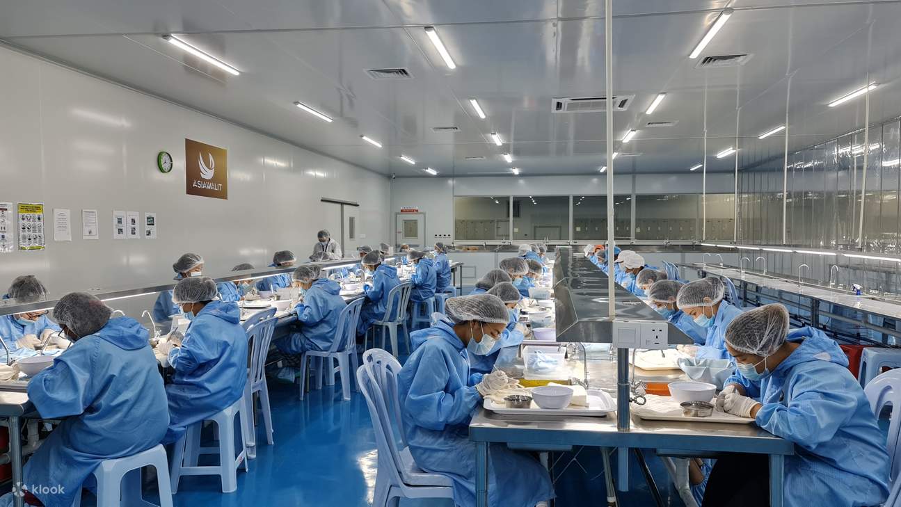 Swiftlet Museum & Bird Nest Factory Experience Tour ( - Klook