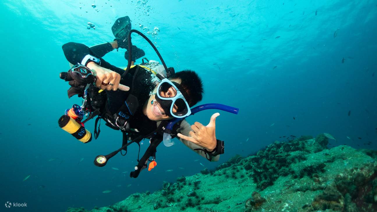 Buceador avanzado de aguas abiertas en Koh Tao | PADI 5 estrellas IDC ...