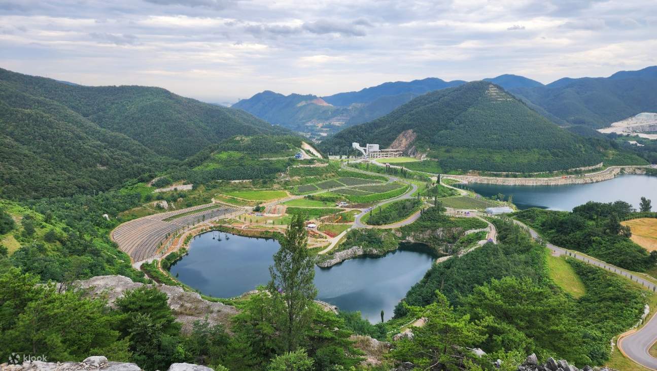 Samcheok Maengbang Canola Flower&Ocean rail bike+Donghae Day Tour - Klook