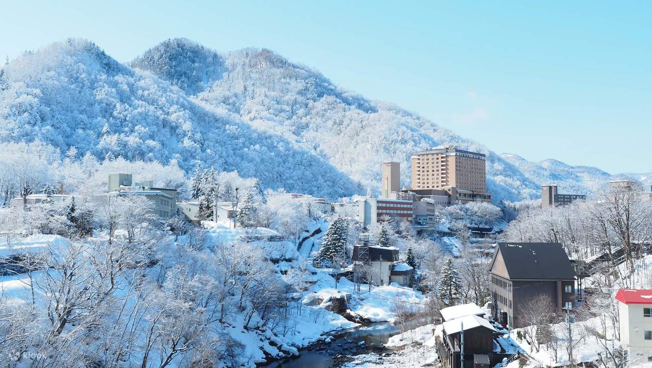 Hokkaido Great Buddha + Jozankei + Hokkaido Shrine Day Trip from ...
