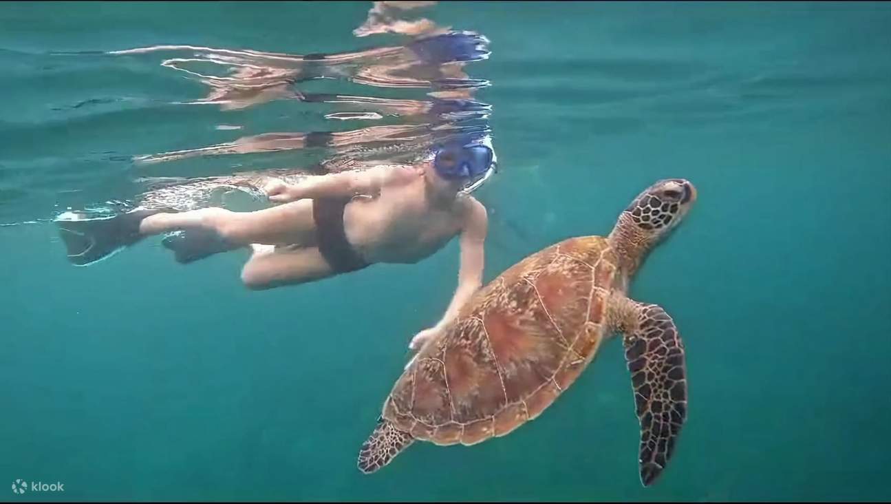 Port Barton Island Tour - Klook