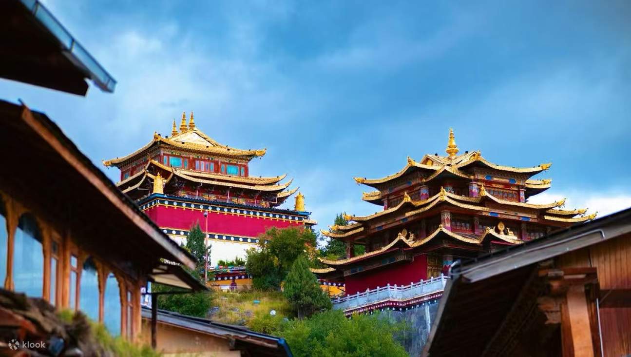 One-Day Shangri-La Tour from Lijiang: Explore Paradise on Earth (Small ...