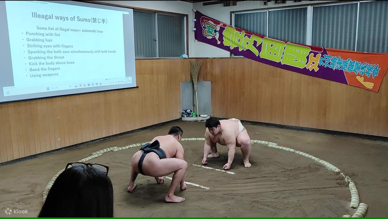 Complete sumo experience in Tokyo - Klook