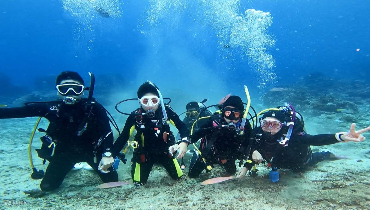 Xiaoliuqiu｜Pengalaman menyelam scuba｜Qinglv Bubble Diving Resort Center ...