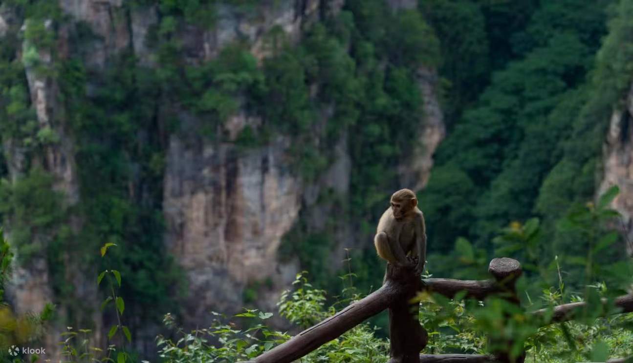 Hunan Zhangjiajie & Xiangxi 4-day tour (Tianmen Mountain Wonders ...