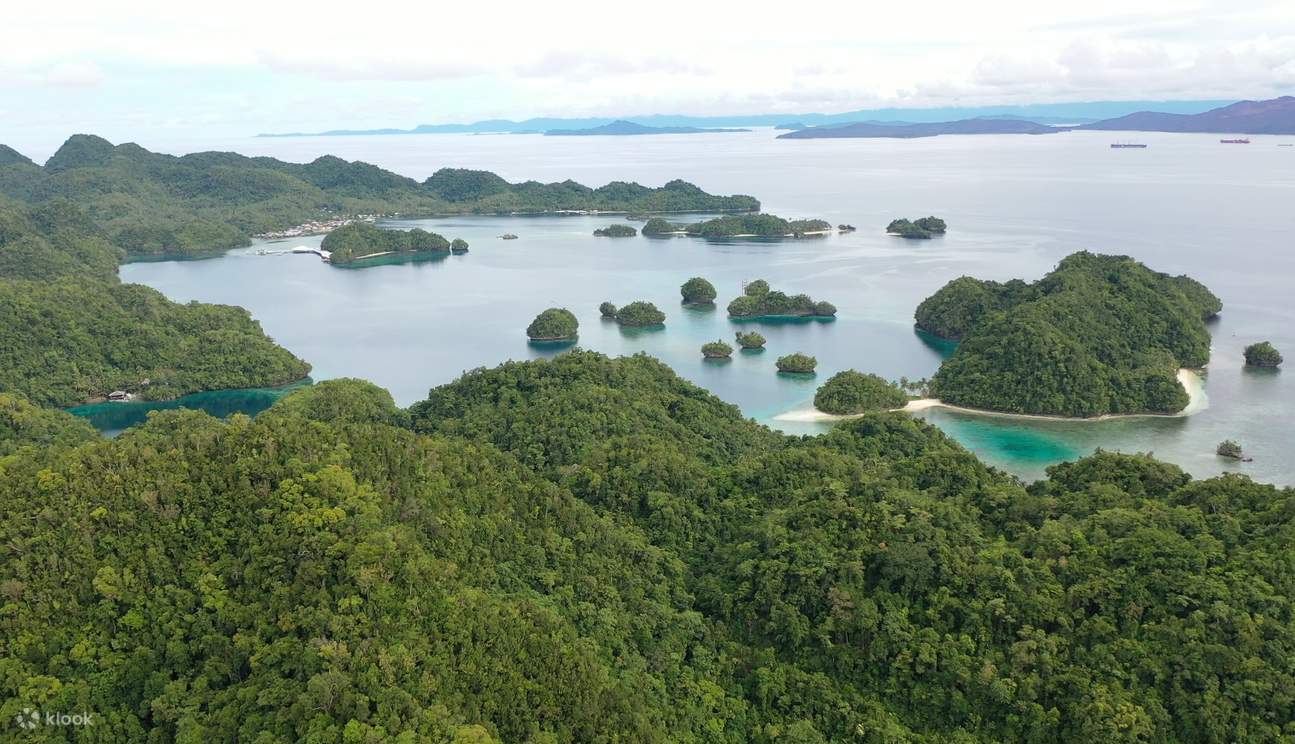 Sohoton Cove and Jellyfish Sanctuary Private Day Tour - Klook