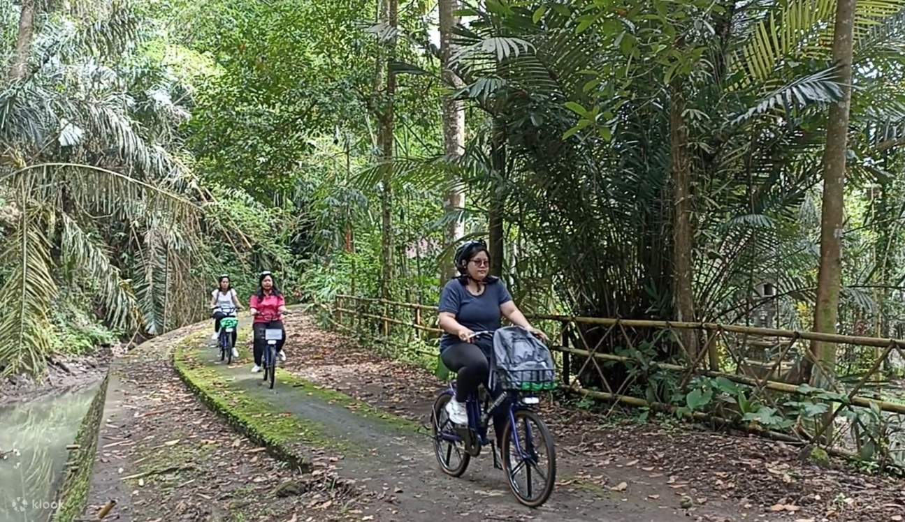 Tur Sepeda Gunung atau Listrik Ubud Selatan di Bali - Klook Indonesia