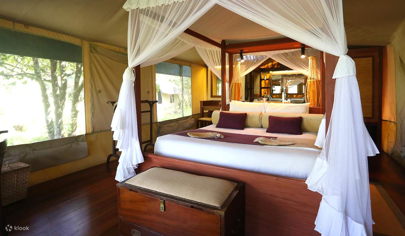 Embark on a Maasai Mara Adventure: Thrilling 3-Day Safari from Nairobi ... Embark on a Maasai Mara Adventure: Thrilling 3-Day Safari from Nairobi ...