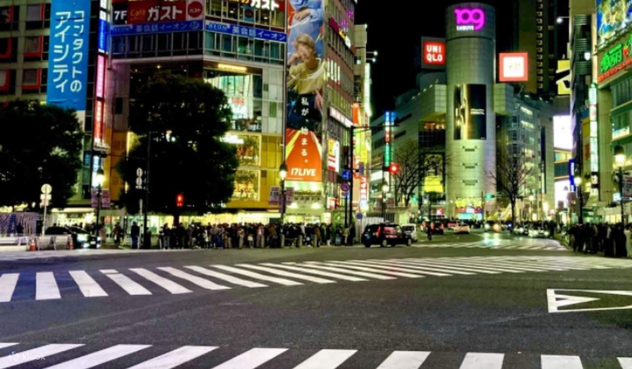 Experience Shinjuku and Shibuya at Night: A 4-Hour Tokyo Tour - Klook
