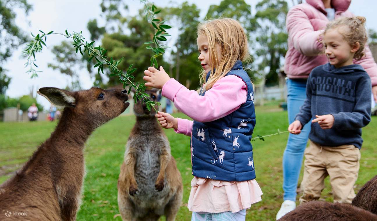 Gold City and Wildlife: A Ballarat & Sovereign Hill Day Tour - Klook ...