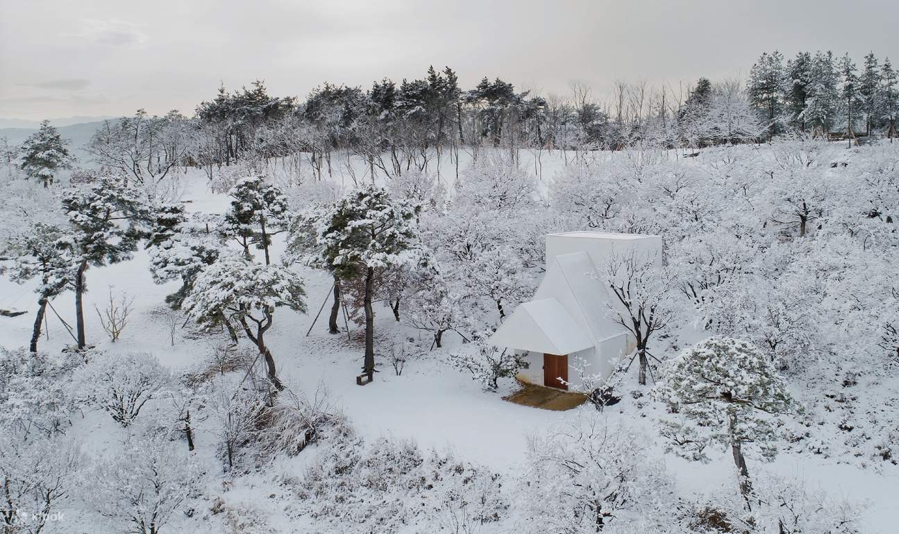 Daegu Sayuwon Arboretum Ticket - Klook