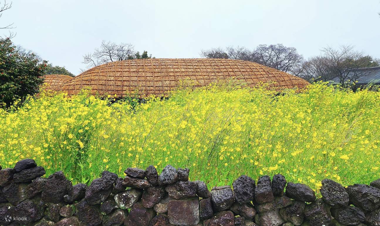 Jeju BTS & K-Drama Small Group Tour with Hotel Pick-up - Klook