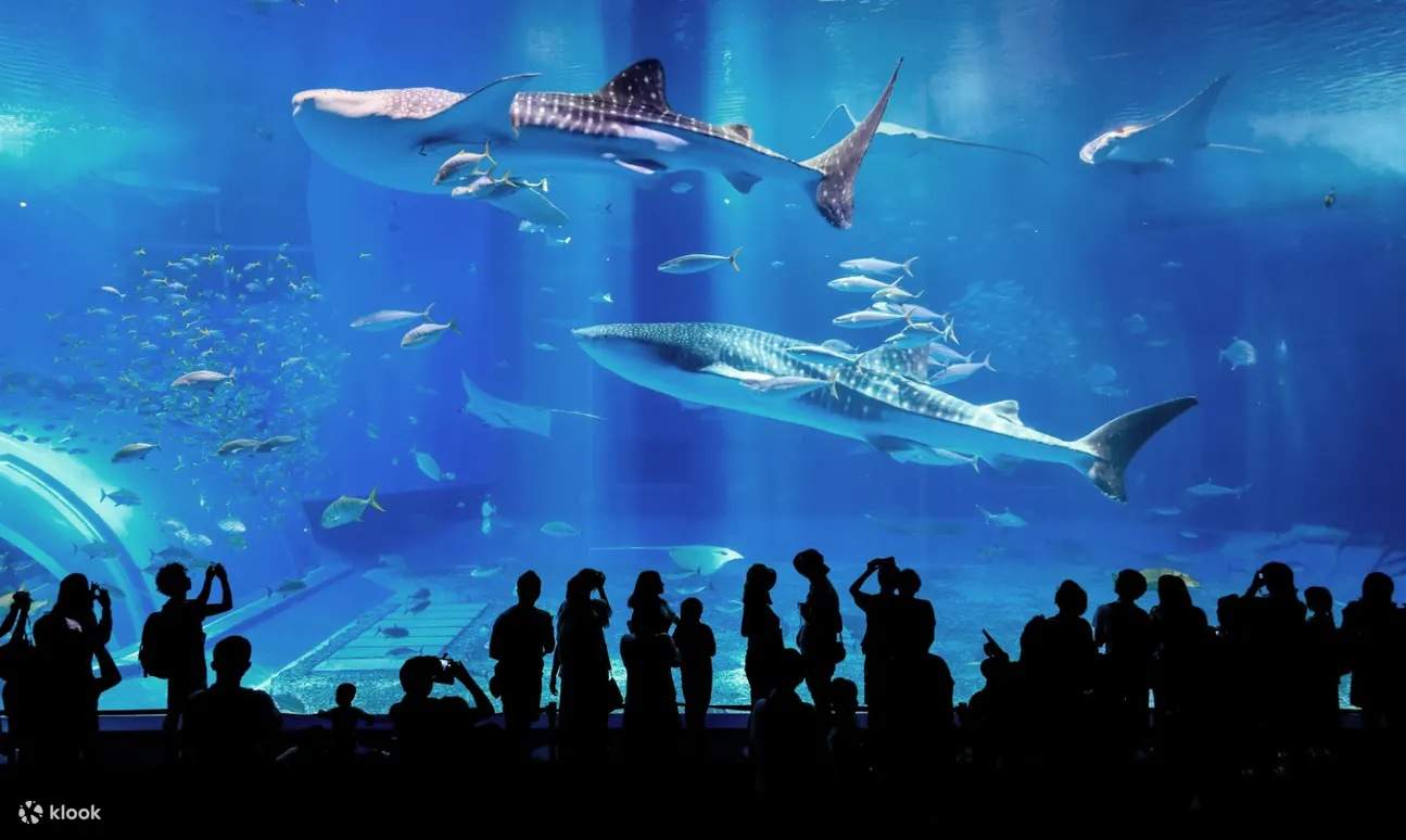 沖繩 FunPass (Okinawa Fun Pass) - Klook 客路