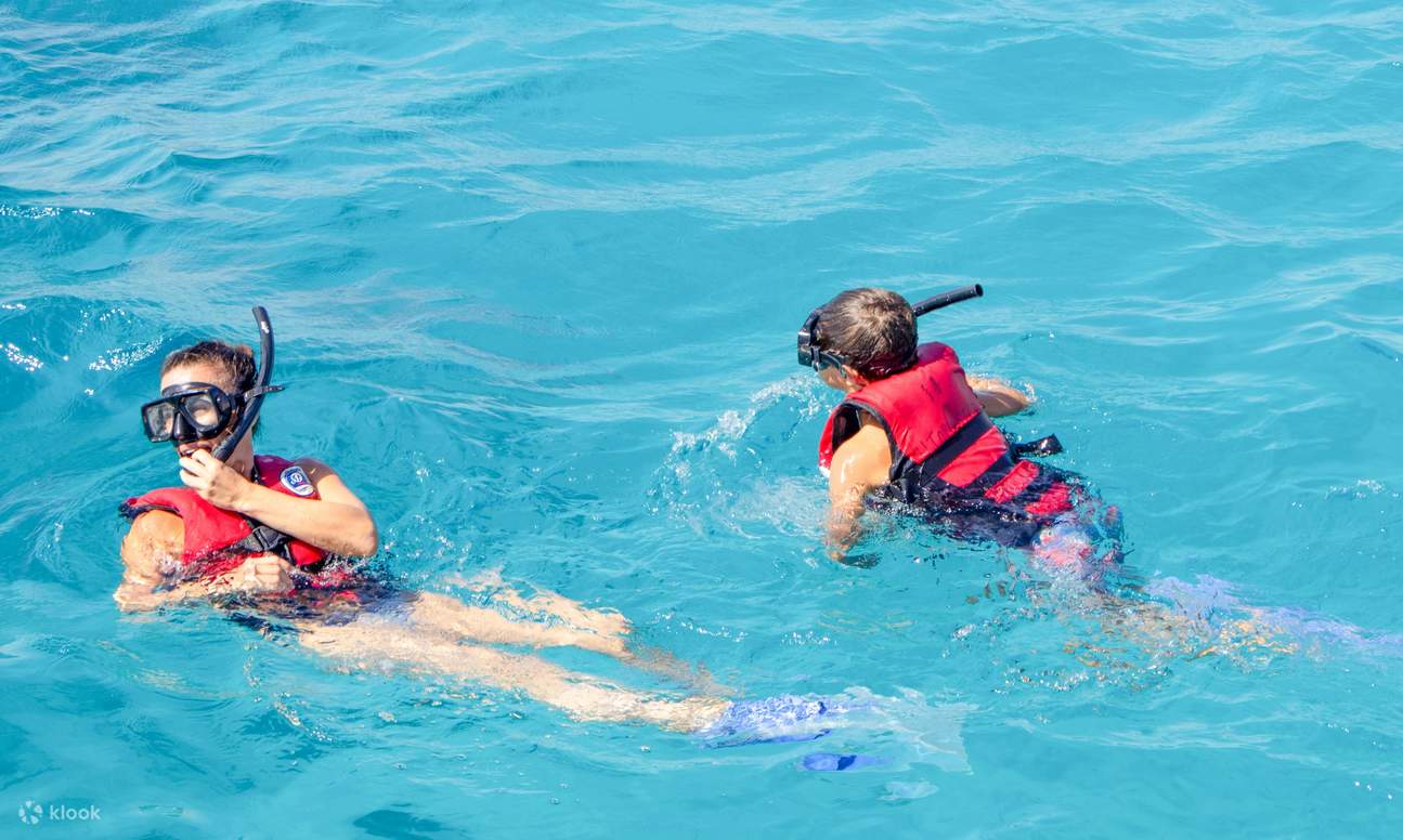 Explore the Underwater World with Snorkeling at Orange Bay Island Boat ...