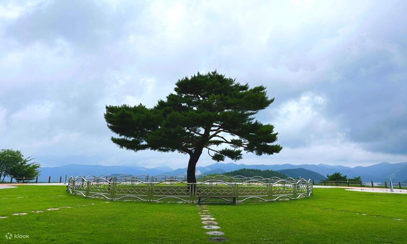 Wellness Jeongseon Private Day Tour - Klook Singapore