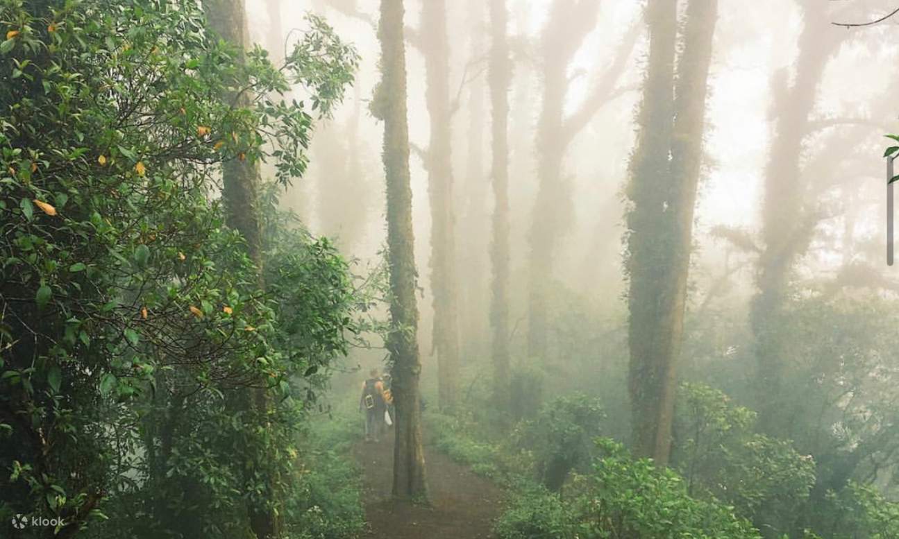 Mount Abang Hiking Experience in Bali - Klook