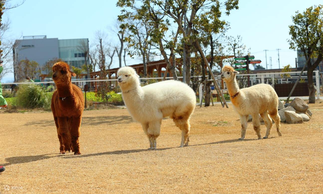 Kobe Animal Kingdom Ticket - Klook Australia