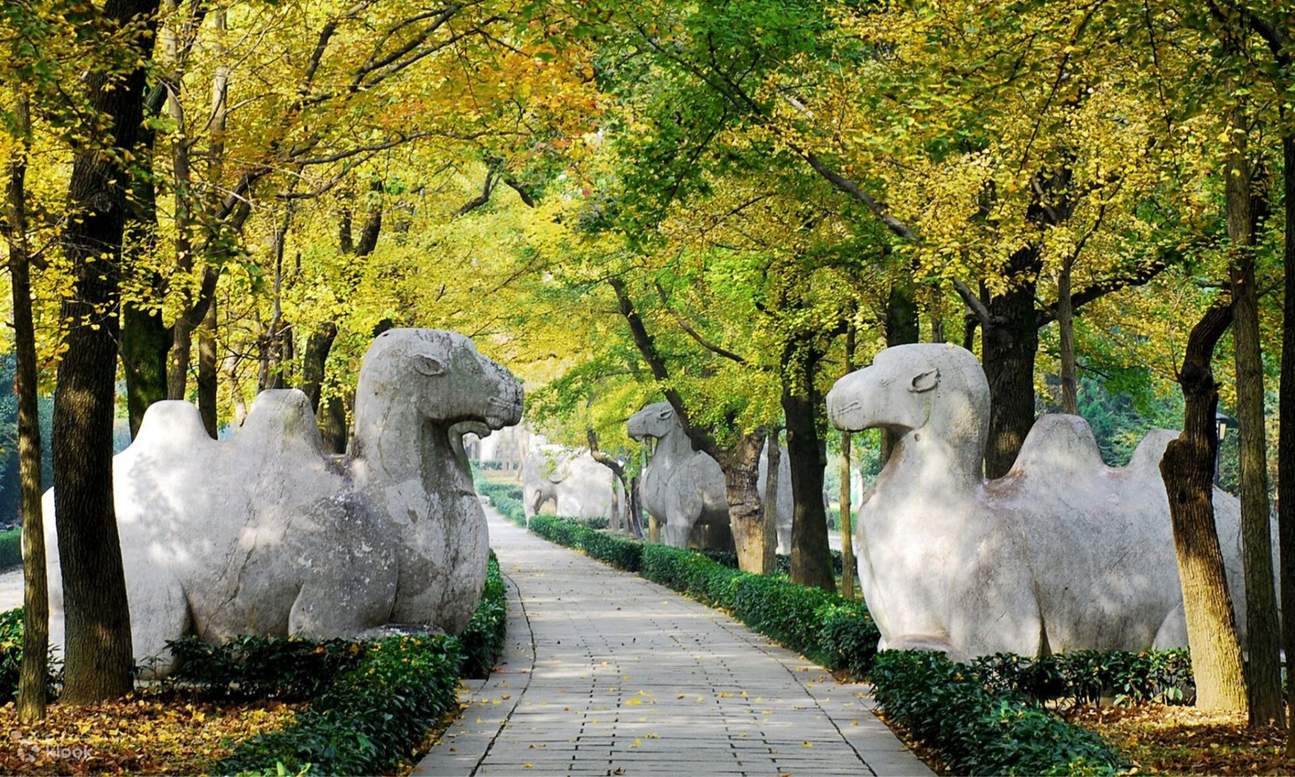 Ming Xiaoling Mausoleum Ticket - Klook Hong Kong