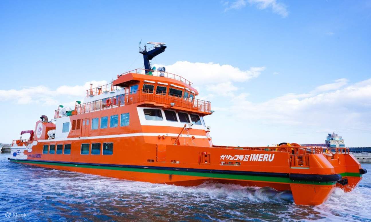 Icebreaker Cruise & Monbetsu Ocean Park & Sounkyo Ice Fall Festival ...