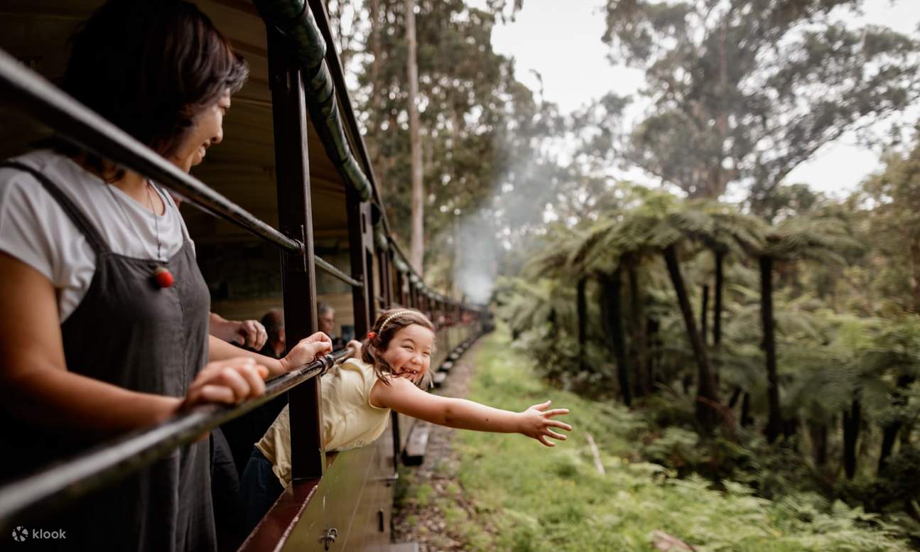 Puffing Billy, Forest Trails & Yarra Valley Discovery Tour - Klook New ...