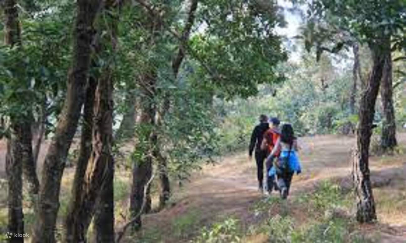 Nagarkot Sunrise and Hike Tour from Kathmandu to Changu Naraya - Klook