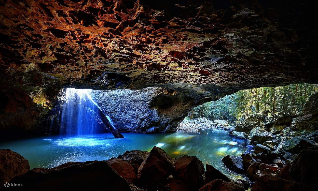 Gold Coast Springbrook National Park & Glow Worm Night Tour (Chinese ...