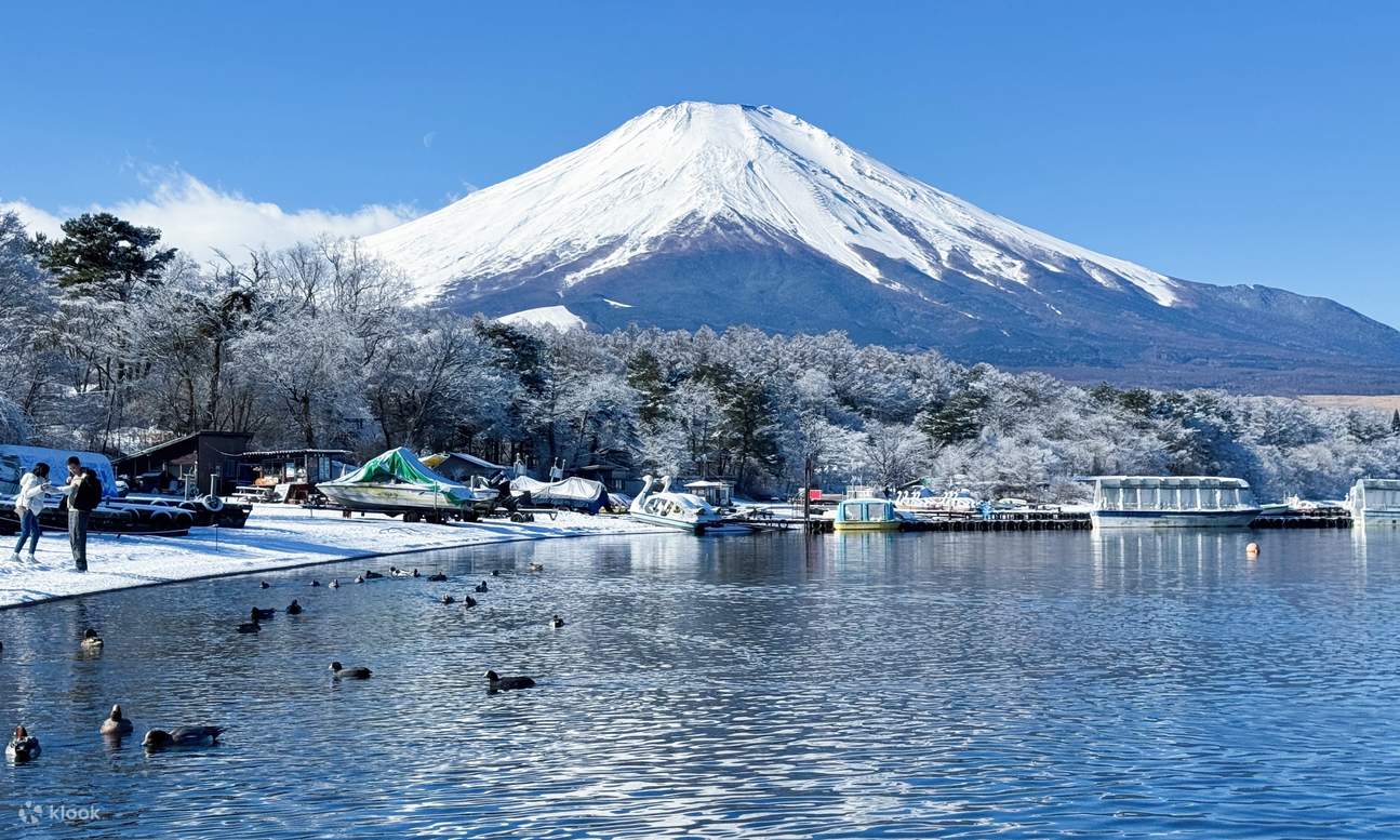 Mount Fuji Special Train & Lake Kawaguchi Cruise/Ropeway & Lake ...