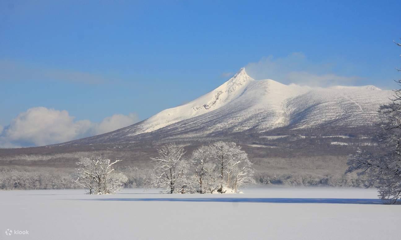 Snowshoeing Experience at Hakodate Onuma in Hokkaido - Klook