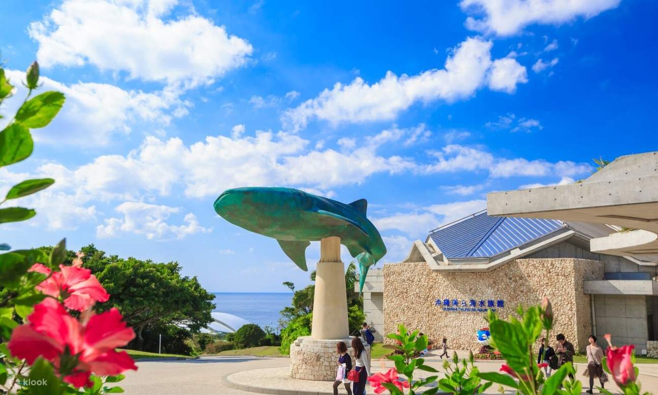 Okinawa Churaumi Aquarium, Cape Manzamo, and Kouri Island Bus Day Tour ...