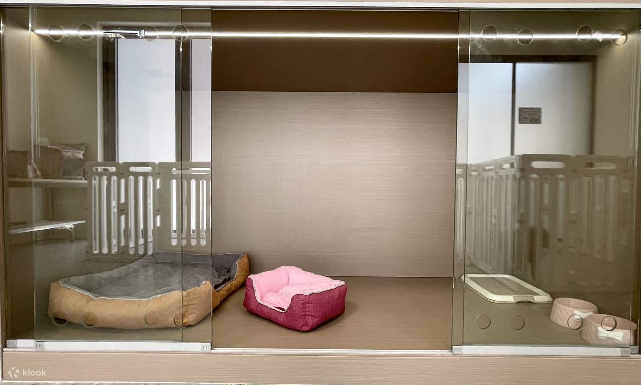 Pet Villa-Ho Man Tin Flagship Store | Hong Kong Pet Hotel & Daycare ...