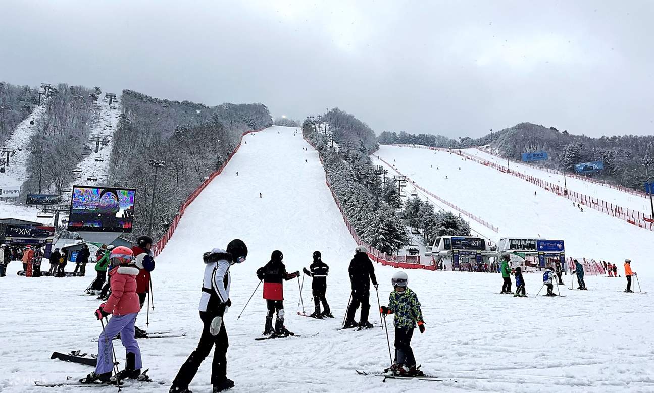 Vivaldi Ski Resort One Day Tour - Klook New Zealand