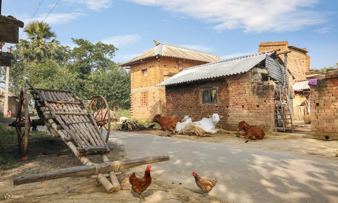 Rural Varanasi: Full-Day Guided Village Tour by car - Klook India