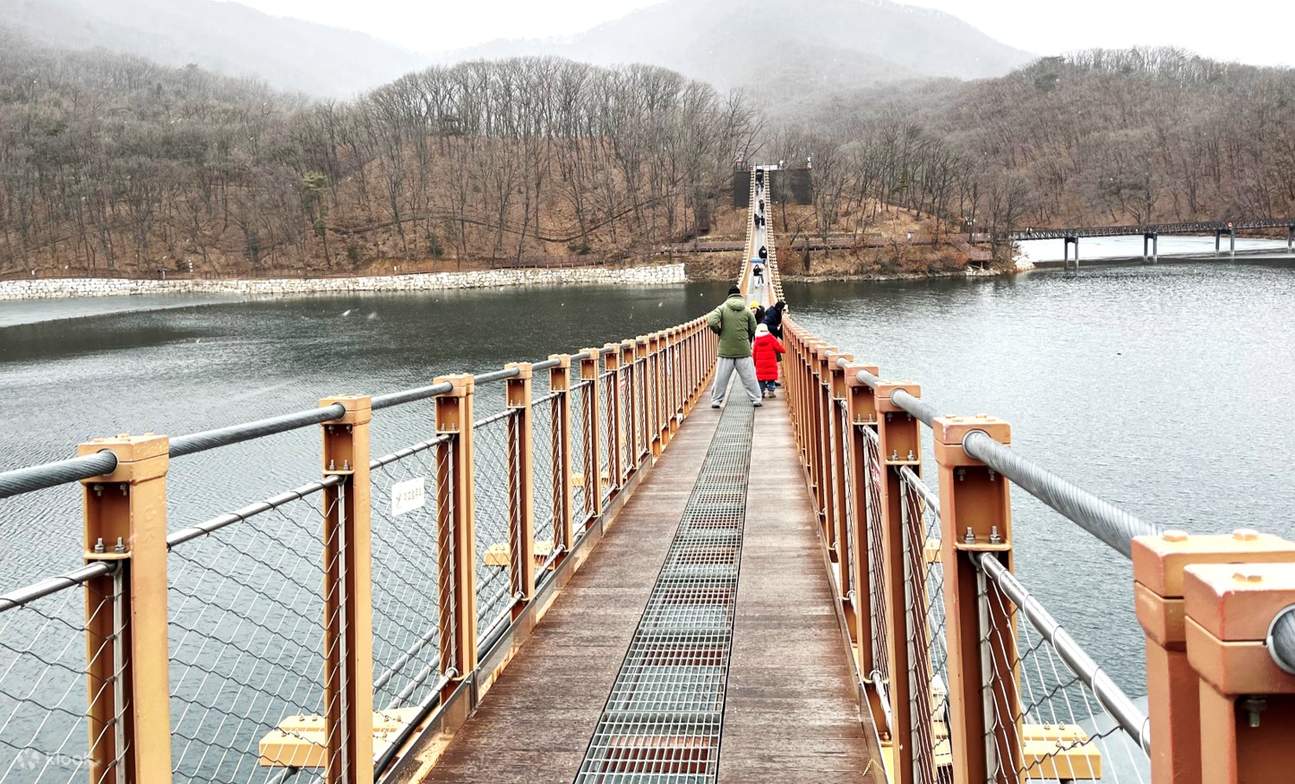 DMZ 2nd tunnel + Lake Suspension Bridge - Klook United States
