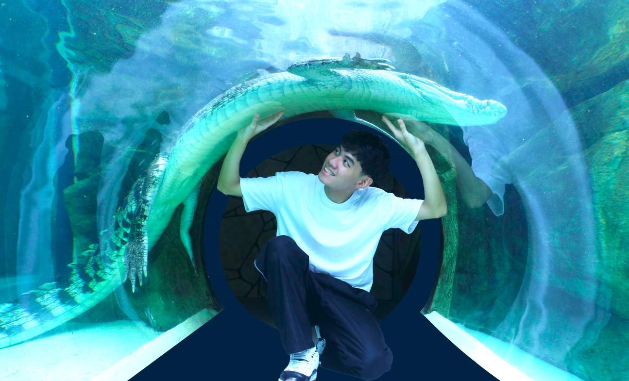 Philippine Biodome Ticket in Manila - Klook United States