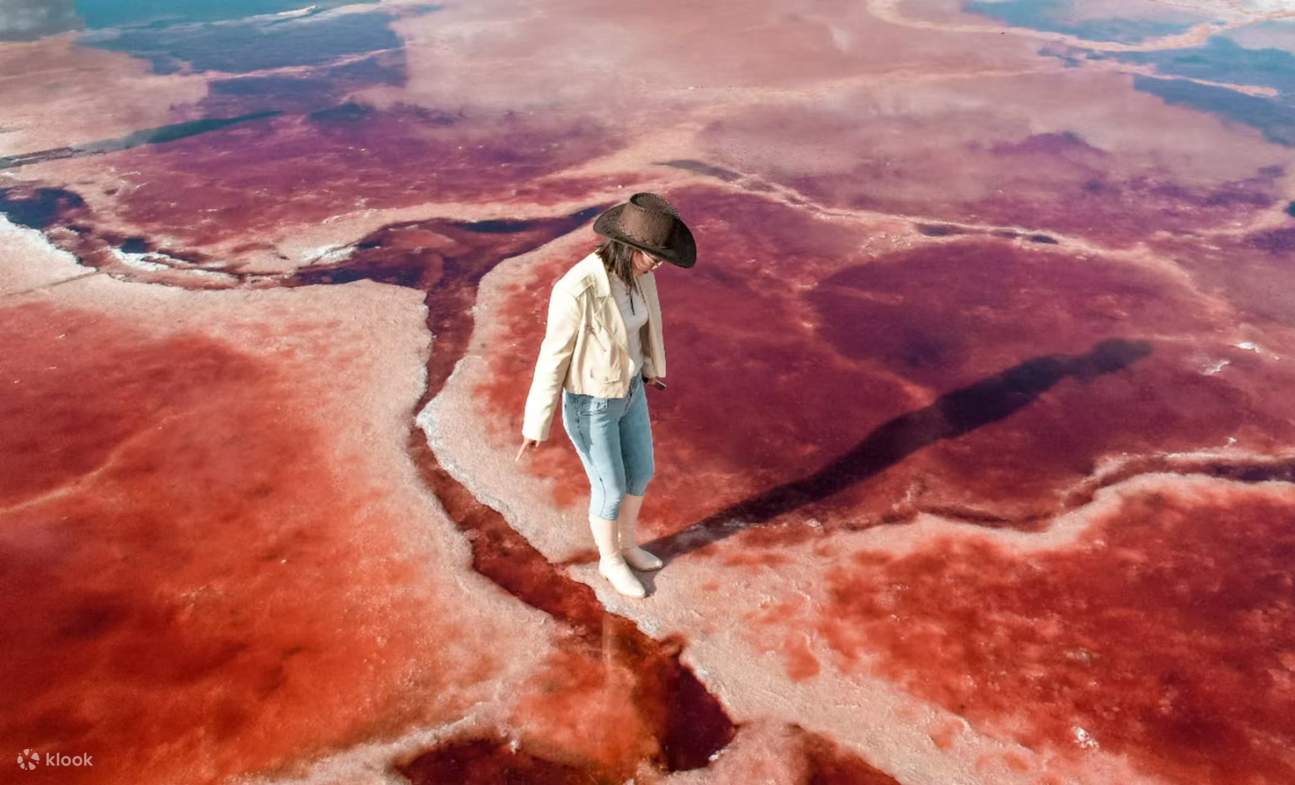 Ningxia Desert vs Grassland 5 Days (Starry Sky No. 7 + Shapotou ...