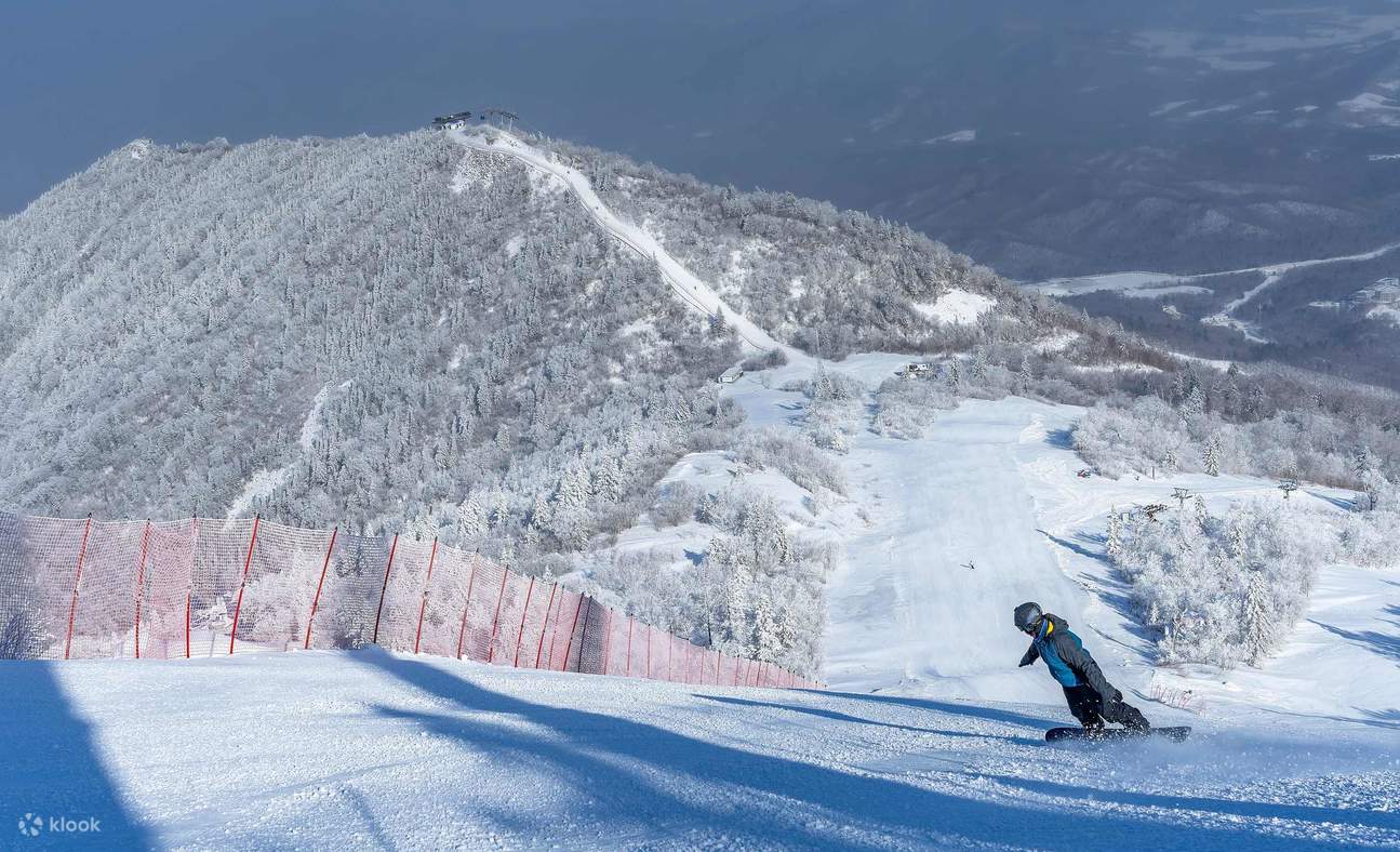 5-Day Tour to Snow Town, Harbin, Northeast China (Harbin Ice and Snow ...
