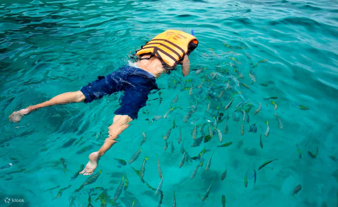 Experience the Koh Lipe Backyard - Klook Malaysia