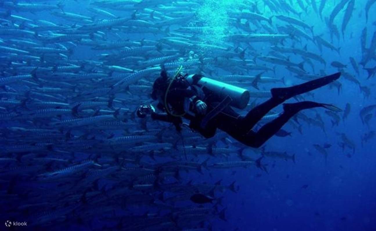 PADI Advance Open Water Course at Semporna Island in Sabah - Klook