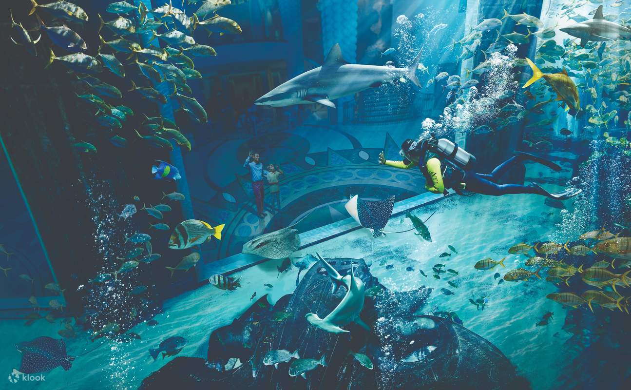 失落的空間水族館迪拜亞特蘭蒂斯探索水肺潛水體驗 Klook 客路