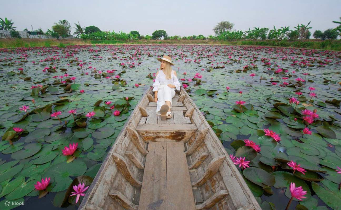 Nakhon Pathom Day Tour: Red Lotus Pond, Bubble in the Forest by AK - Klook